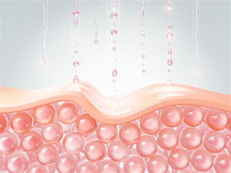 Quercetin Surprising Health Benefits Of An Overlooked Nutrient