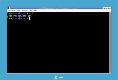 linux で vi エディタを使ってテキストファイルを編集する labex