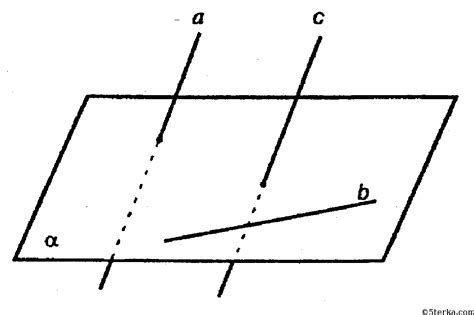 41 Может ли каждая из двух скрещивающихся прямых быть параллельна третьей прямой Ответ обоснуйте