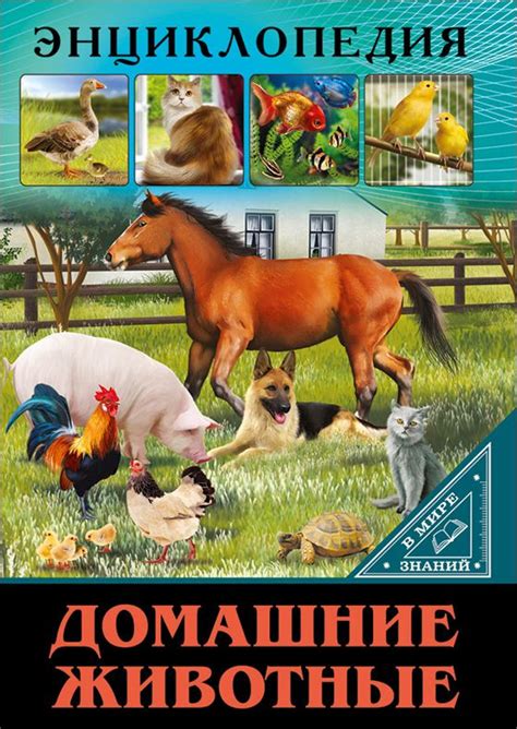 ЭНЦИКЛОПЕДИЯ. В МИРЕ ЗНАНИЙ. ДОМАШНИЕ ЖИВОТНЫЕ : Энциклопедия. В мире ...