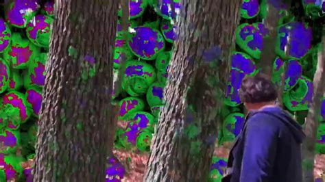 Ricky Eats Magic Mushrooms Youtube