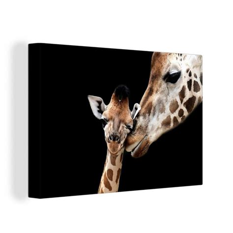 Onemillioncanvasses® Leinwandbild Giraffe Tiere Schwarz Porträt