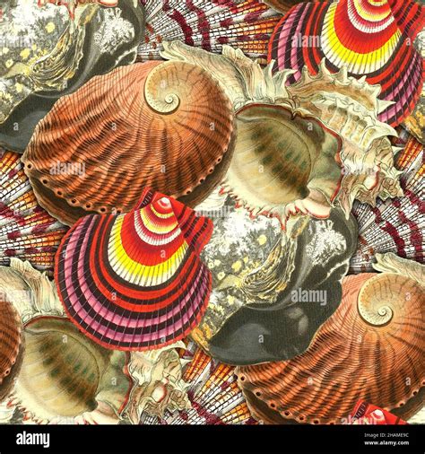 Beautiful View Of A Repeating Pattern Made Of Illustrations Of Colorful Sea Shells Stock Photo