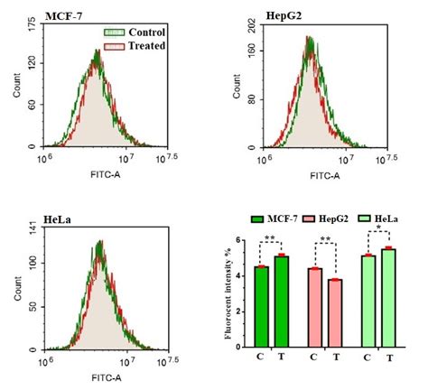 Effect Of Compound 2 On The Autophagy Cell Death In Mcf 7 Hepg2 And