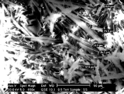 A Screening Electron Microscopy Of Pure Drug Download Scientific