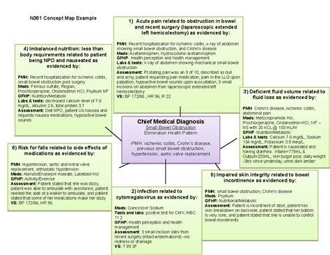 N361 Concept Map Example 2 Prioritizing Nursing Diagnoses For Adults