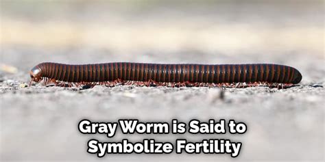 Gray Worm Spiritual Meaning Symbolism And Totem 2025