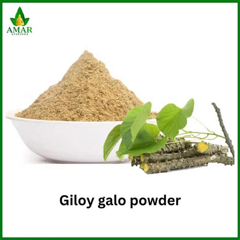 Amar Ayurveda Giloy Gola Guduchi Powder 1 Kg At Rs 170kg In Surat
