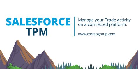 Salesforce Trade Promotion Management Tpm 2 Corrao Group Blog