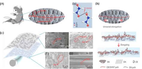 A The Design Of A Biomimetic Flexible Strain Sensor Inspired By The