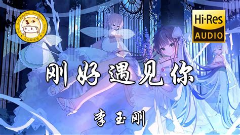 【hi Res无损】李玉刚 刚好遇见你「因为我刚好遇见你 留下足迹才美丽」动态歌词 宗天高云 音乐 哔哩哔哩视频