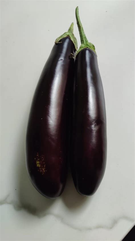 【蒸茄子🍆的做法步骤图，蒸茄子🍆怎么做好吃】如意风月下厨房