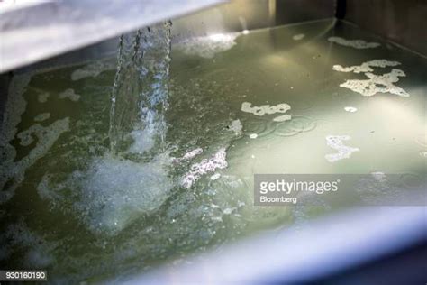 Gathering Maple Sap Photos And Premium High Res Pictures Getty Images