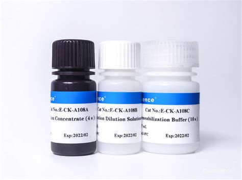 Foxp3 Transcription Factor Staining Kit Elabscience Biomol De
