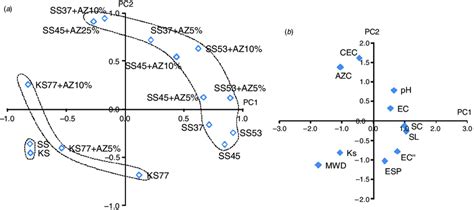 Results Of Principal Component Analysis A Loadings Enclosed Dashed Download Scientific