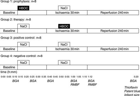 Schematic Overview Of Study Design Bga Blood Gas Analysis Rmbf
