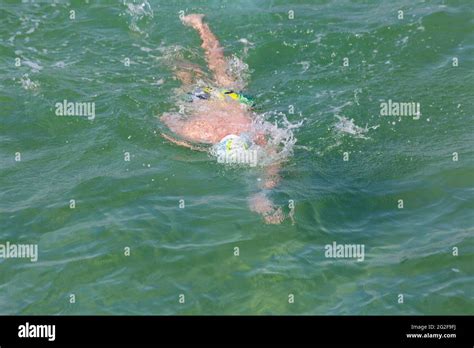 Swimmer Swimming In Sea At Bournemouth Dorset Uk In June Open Water
