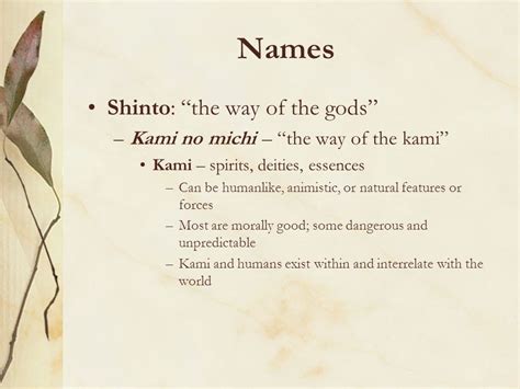 Shinto Kami Spirits