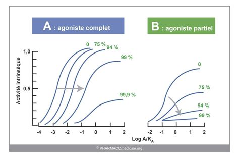 Relations Concentration Effets