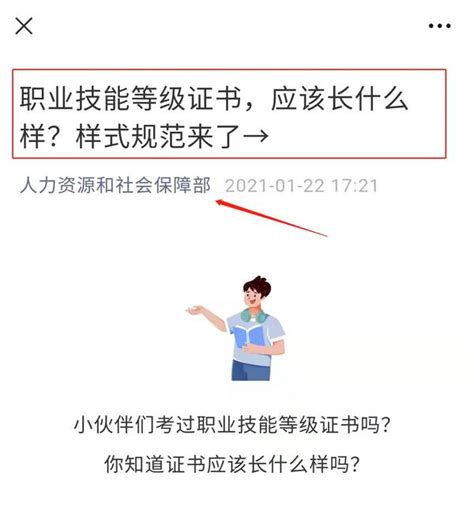 职业技能等级证书他到底长什么样儿 知乎