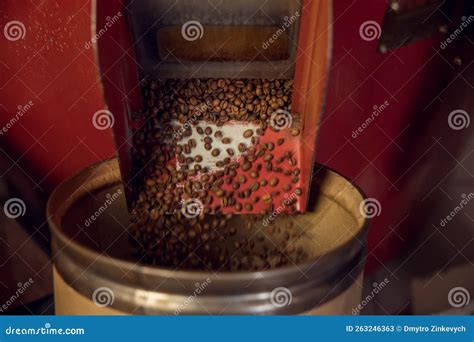 Mechanical Coffee Sorting Process On The Modern Equipment Stock Image Image Of Coffee