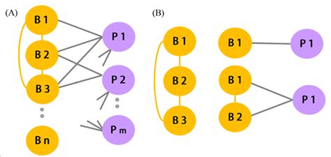 A The Split Graph Model Capturing Two Relationships I Download Scientific Diagram