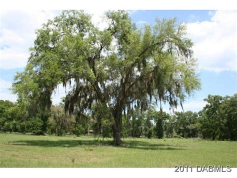 Spring Garden Ranch Rd De Leon Springs FL 32130 Realtor