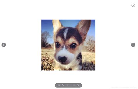 Element Image图片组件 El Image Viewer、不循环el Image Preview Src List 不循环预览