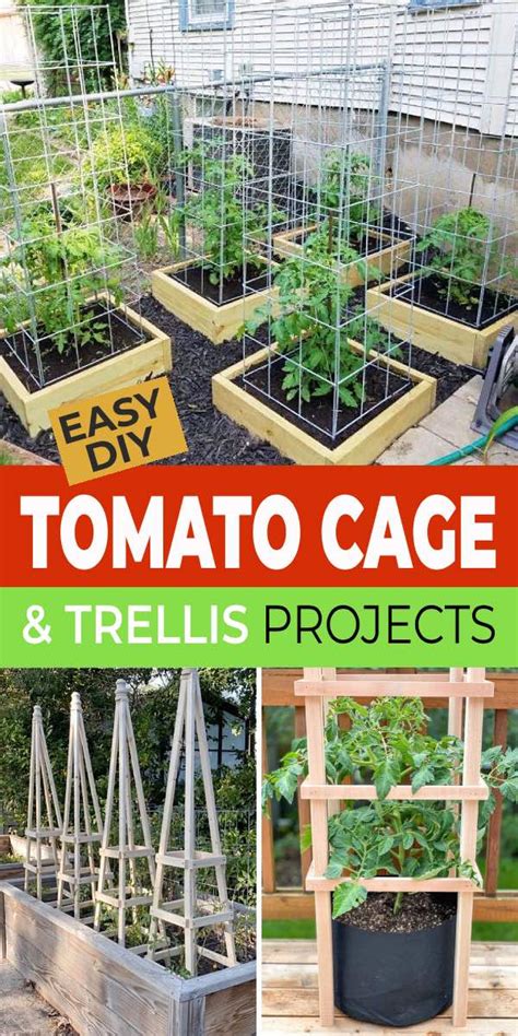Tomato Trellis Ideas