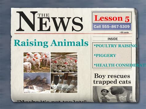 Poultry And Livestockpptx