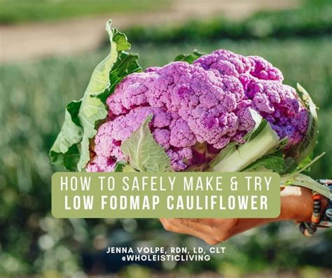 Prebiotic Foods And Herbs List Pdf Free Download Jenna Volpe Rdn Ld