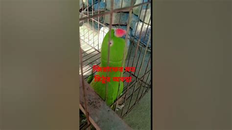 আসবো না আর কোনদিন ভালবাসতে তোরে Youtube