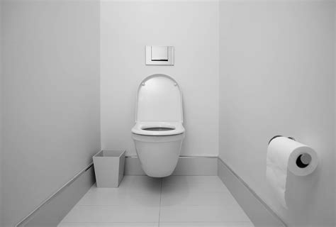 Astuces pour éliminer les mauvaises odeurs dans les toilettes Pratique fr
