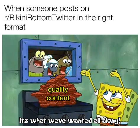 Thats No Problem Ladies And Germs Cause Spongebob Is Here To Satisfy Bikinibottomtwitter