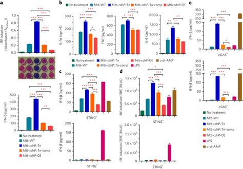 CdnP Activity Regulates Host CSP Activation And Type I IFN Responses Download Scientific