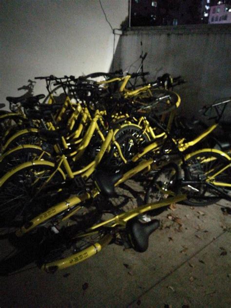Ofo共享單車走不遠，損耗太嚴重了 每日頭條