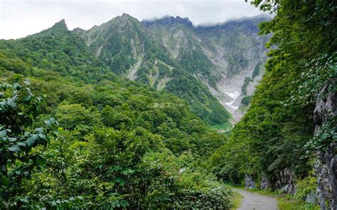 谷川温泉のコンパニオン宴会プランを探す宴会ネット