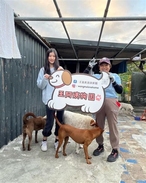 王富美浪浪家園 太開心啦🎉 王阿姨狗園有新的招牌啦～將會放在入口處 希望能吸引更多愛狗狗的人來當志工🐶