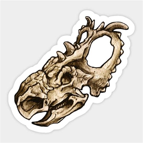 Dinosaur Skull Pachyrhinosaurus Sticker Pachyrhinosaurus Sticker