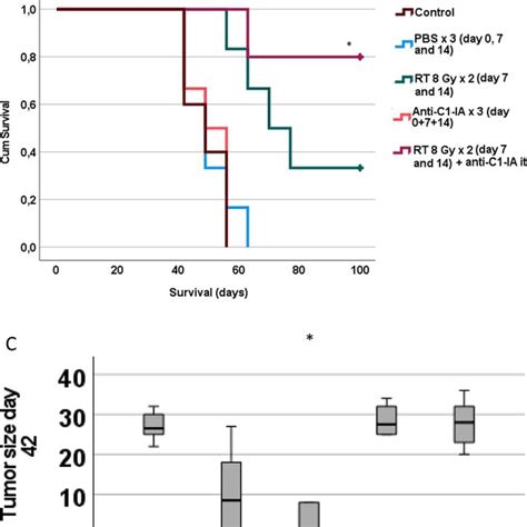 A Experimental Setup In Animals With Subcutaneous Tumors Image Created