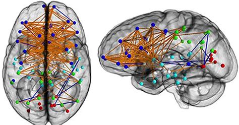 La Ciencia Confirmó Que Sólo Las Mujeres Pueden Hacer Dos Cosas A La