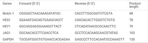 Table 1 From Silibinin Promotes Bone Regeneration Through Hif 1αvegf