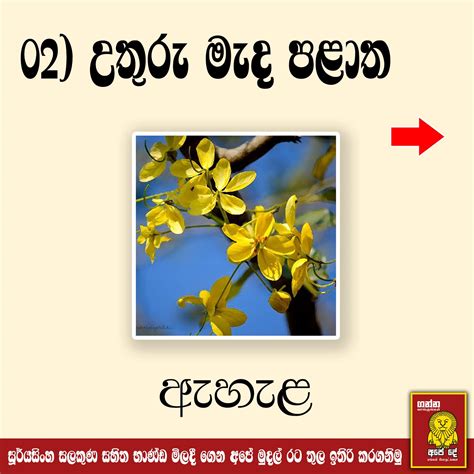 ශ්‍රී ලංකාව ගැන ලෝකයේම අවධානය යොමු වුණු හේතු 10 ක් Facebook