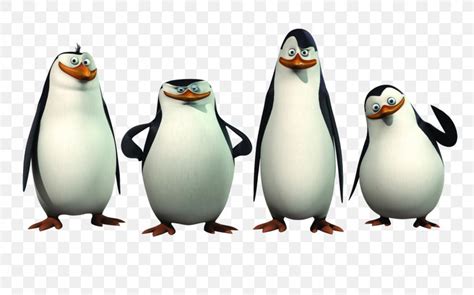 Rico Kowalski Skipper Penguin Madagascar Png 1600x1000px Rico Beak