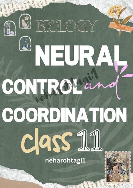Cockroach Class 11th Neet Cbse Ncert Biology Pdf