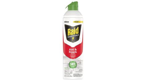 Raid Essentials Ant And Roach Killer Aerosol Spray 10 Oz Delivery
