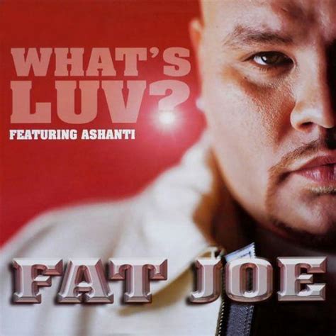 Terror Squad Feat Fat Joe Aka Joey Crack And Remy Lean Back Top 40
