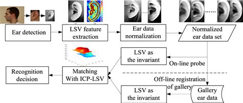 3d Ear Normalization And Recognition Based On Local Surface Variation