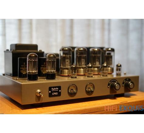 Raphaelite Cp65 Customize Kt88 Push Pull Tube Amp