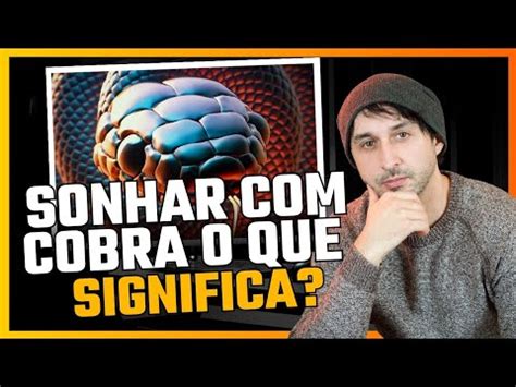 O Significado Profundo De Sonhar Cobras YouTube